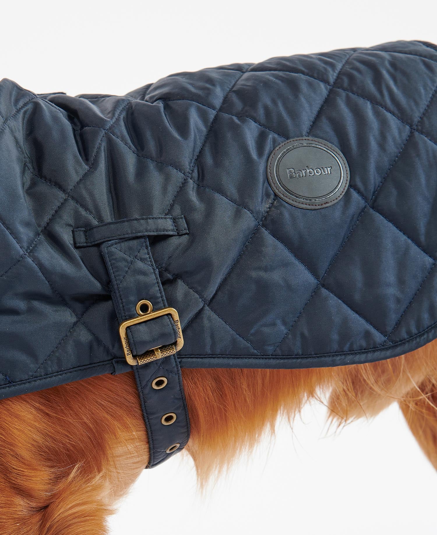 Barbour Hundemantel gesteppt Zengerle GmbH Jagdundtrachten